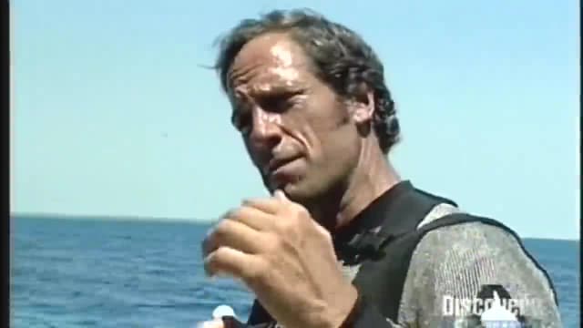 Watch The Deep End S01:E06 - The Legend of the Shark Suits: Jeremiah ...