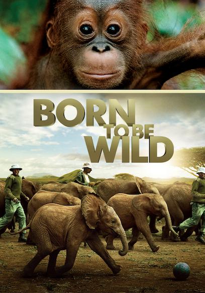 Watch Born to Be Wild (2011) - Free Movies | Tubi