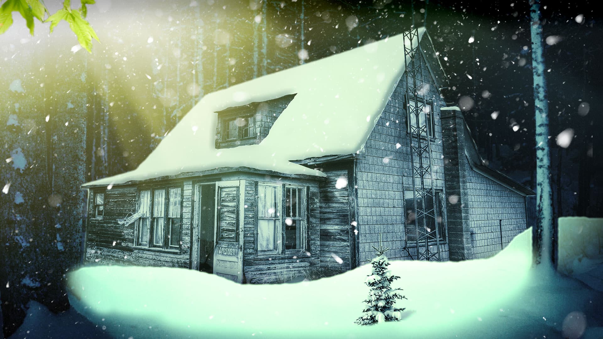 Watch Restoring the Shack - Free TV Shows | Tubi
