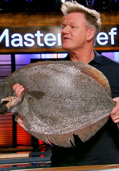 Watch MasterChef S09:E13 - Just for the Halibut - Free TV Shows | Tubi