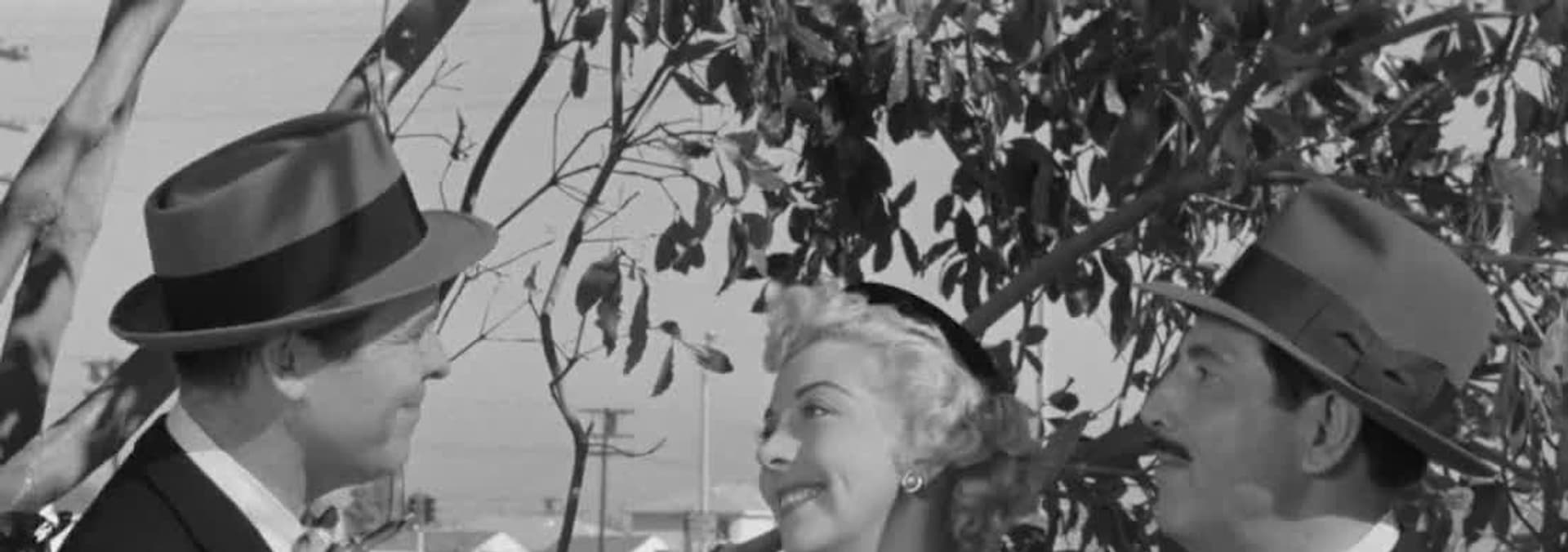Watch Blondie S01:E02 - It's for the Birds - Free TV Shows | Tubi