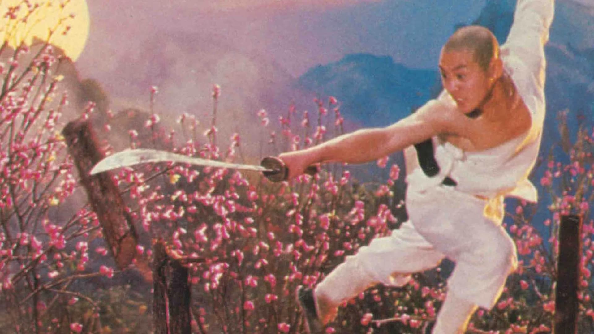 watch-shaolin-temple-1976-free-movies-tubi
