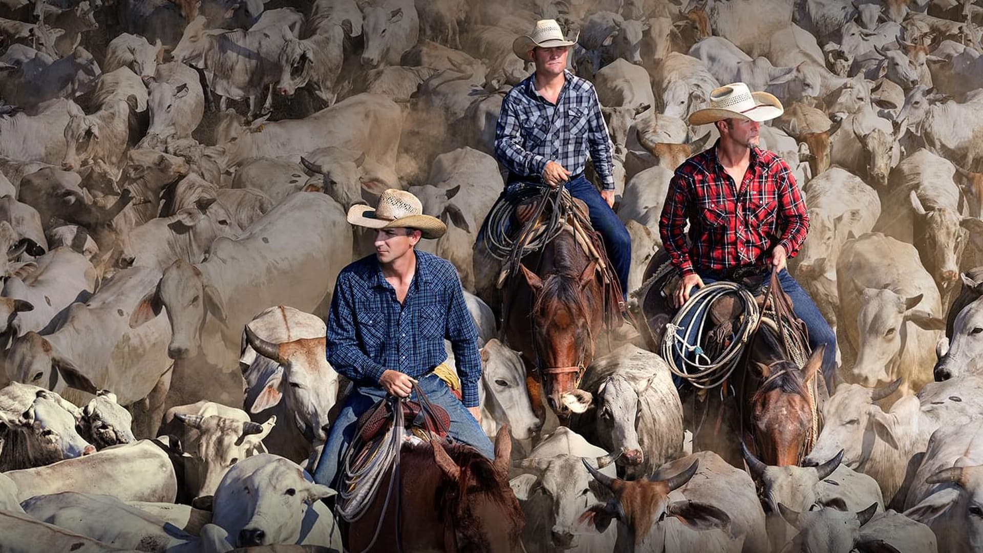 Watch The Cowboy Way - Free TV Shows | Tubi