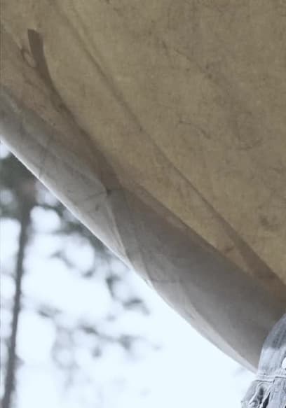 Watch Z Nation S01:E01 - Puppies and Kittens - Free TV Shows | Tubi