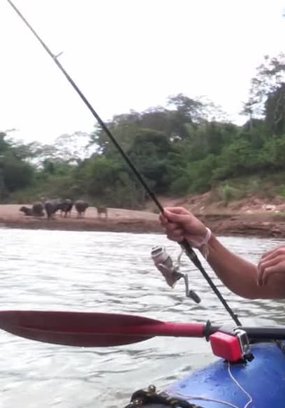Watch Fishing Impossible S01:E06 - Laos - Free TV Shows | Tubi
