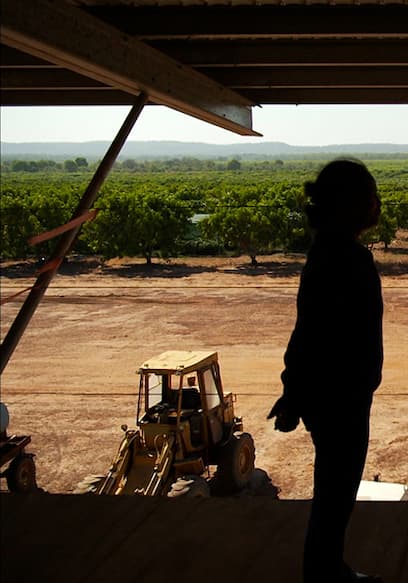 Watch Food Safari S04:E01 - Darwin Food Safari - Free TV Shows | Tubi