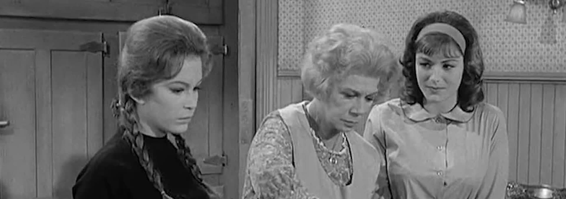 Watch Petticoat Junction S01:E20 - Last Chance Farm - Free TV Shows | Tubi
