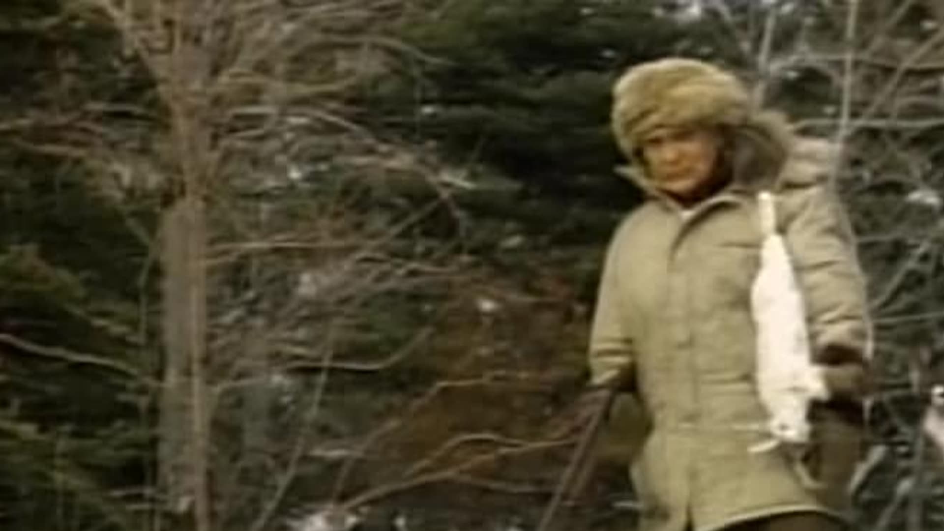 Watch Toby McTeague (1985) - Free Movies | Tubi