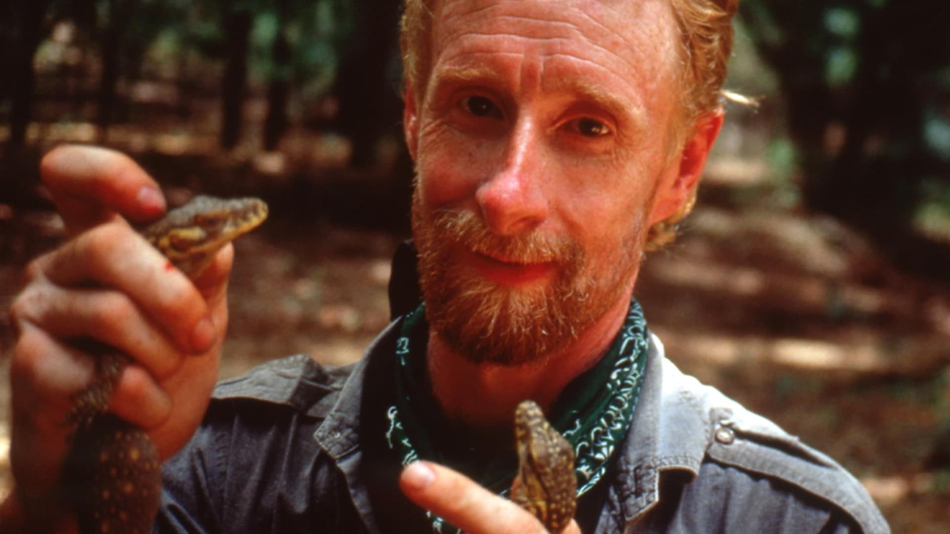 Watch O'Shea's Big Adventure Season 2 - Free TV Shows | Tubi