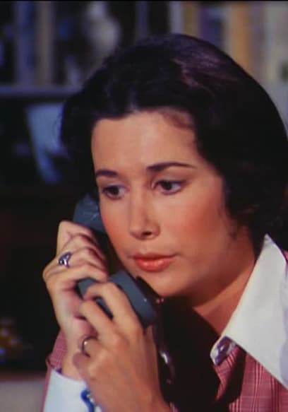 Watch The FBI S08:E15 - Dark Christmas - Free TV Shows | Tubi