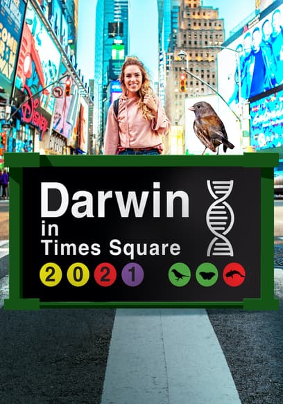 Watch Darwin in Times Square (2020) - Free Movies | Tubi