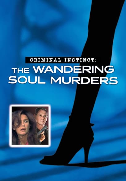 Watch Criminal Instinct: The Wandering Soul Murders (2 - Free Movies | Tubi