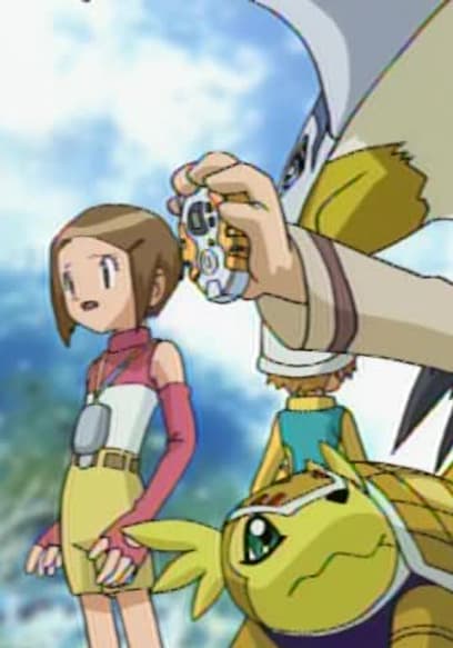 Watch Digimon Adventure S02:E03 - A New Digitude - Free TV Shows | Tubi