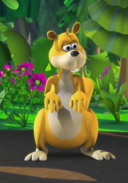 Watch Monkey See Monkey Do S01:E20 - Squirrel - Free TV Shows | Tubi