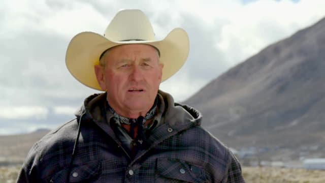 Watch Turquoise Fever - Free TV Shows | Tubi