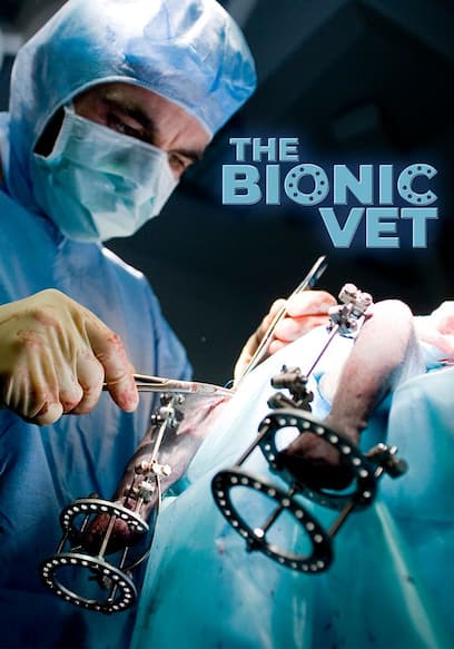 Watch The Bionic Vet - Free TV Shows | Tubi