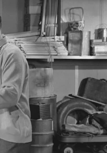 Watch The Adventures of Ozzie and Harriet S10:E01 - The Dancing Lessons - Free TV Shows | Tubi