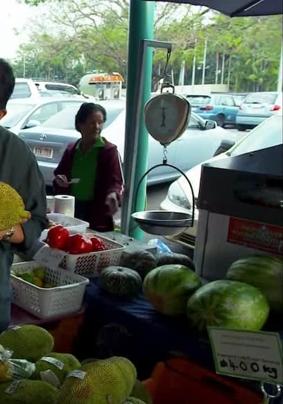 Watch Food Safari S04:E01 - Darwin Food Safari - Free TV Shows | Tubi