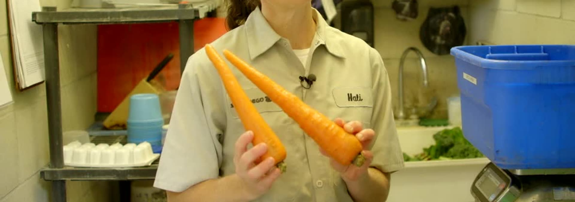 Watch Wild World at the San Diego Zoo S01:E01 - Episode 1 - Free TV ...