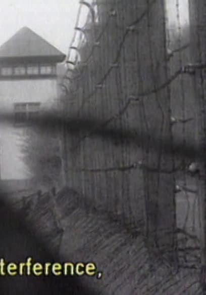 Watch Hitler: A Profile S01:E04 - The Dictator - Free TV Shows | Tubi