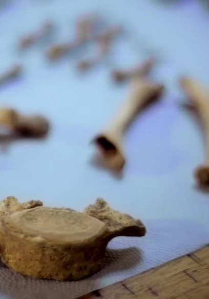 Watch History Cold Case UK S02:E01 - The Bodies in the Wall - Free TV ...