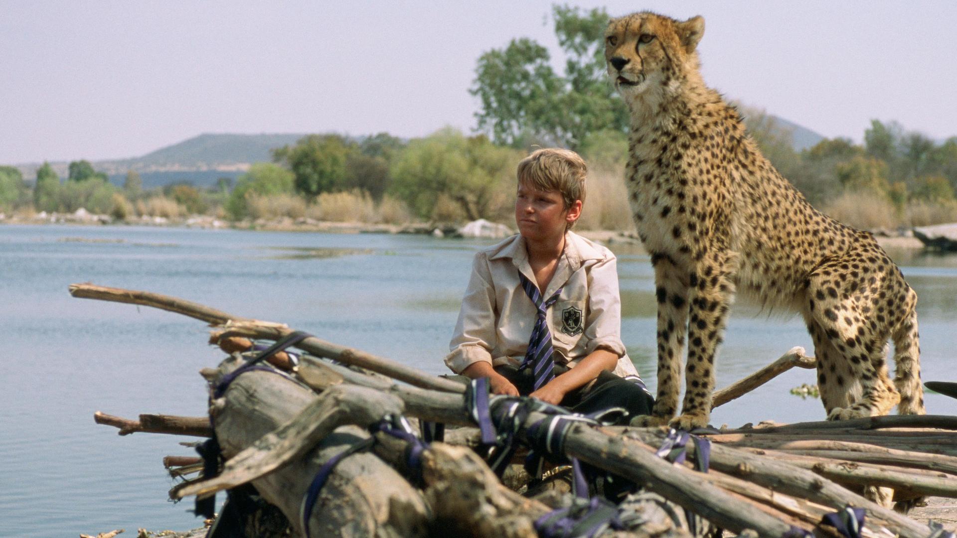 Watch Duma (2005) - Free Movies | Tubi