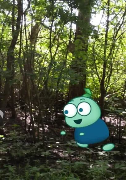 Watch Whirl: Ada and Friends S01:E09 - Volume 9 - Free TV Shows | Tubi