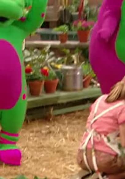 Watch Barney & Friends S14:E1411 - The Big Garden - - Free TV Shows | Tubi