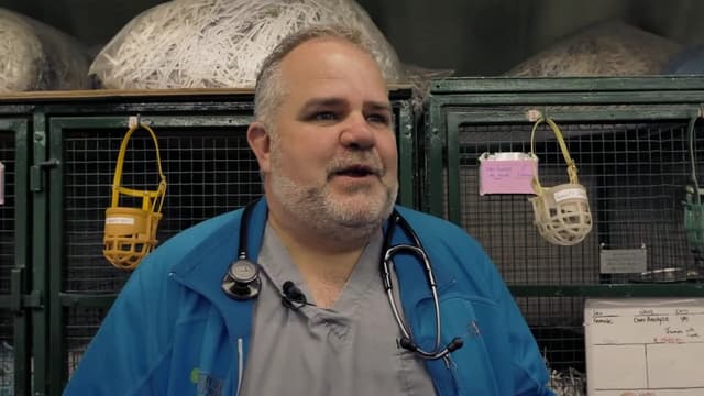 Watch Doctor Barry S01:E06 - Cycle of Life - Free TV Shows | Tubi