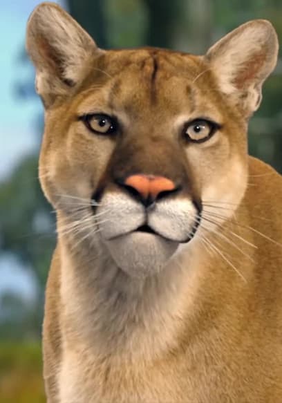 Watch Bad Nature S01:E102 - Poo From Space & Zombie Ant Fungus - Free ...