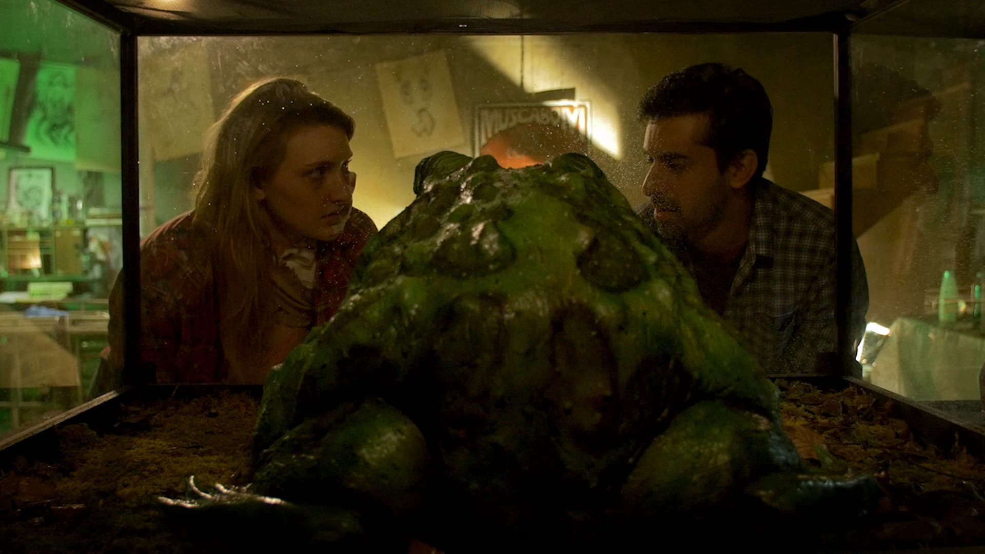 Watch Bad Blood: The Movie (2016) - Free Movies | Tubi