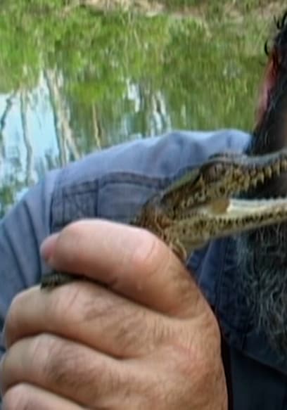 Watch Killer Instinct with Rob Bredl S01:E03 - Crocodiles - Free TV ...