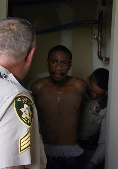 Watch Cops S25:E07 - No Money, More Problems - Free TV Shows | Tubi