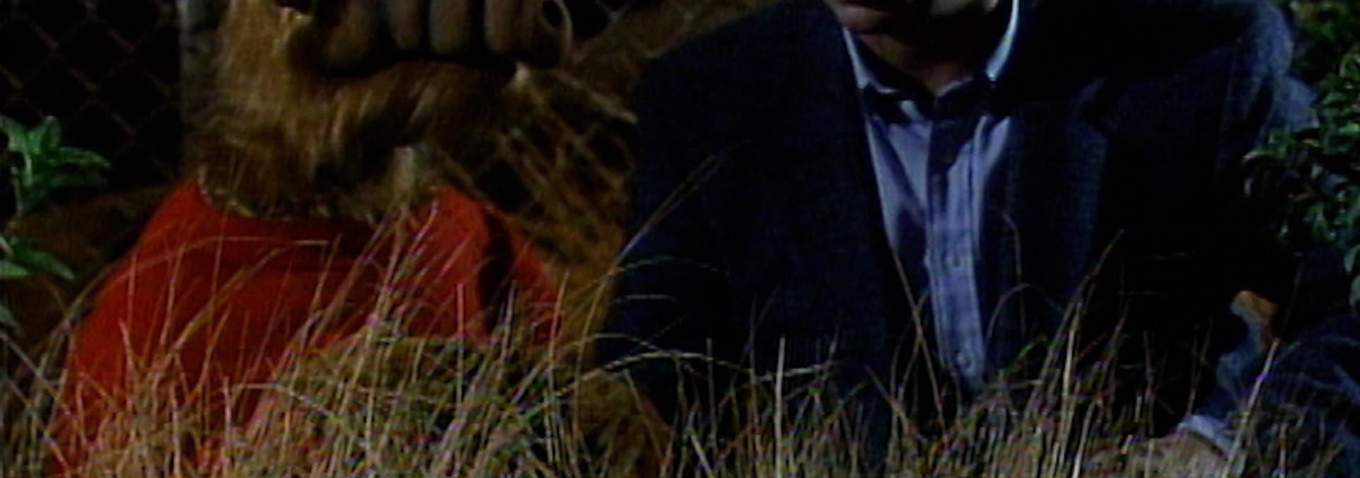 Watch ALF S02:E09 - Night Train - Free TV Shows | Tubi