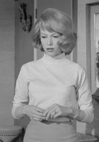 Watch The Adventures of Ozzie and Harriet S12:E02 - Secret Agent - Free TV Shows | Tubi