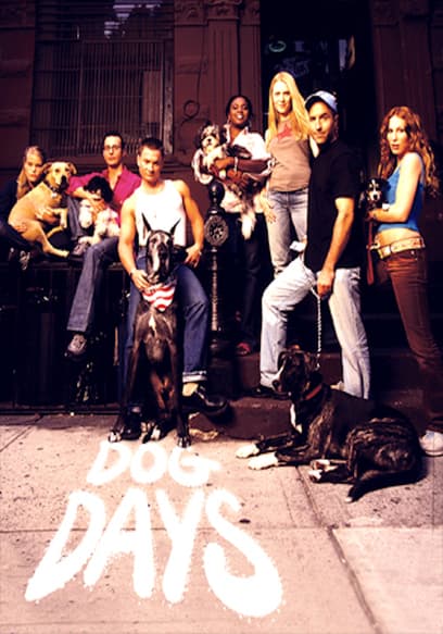 Watch Dog Days - Free TV Shows | Tubi