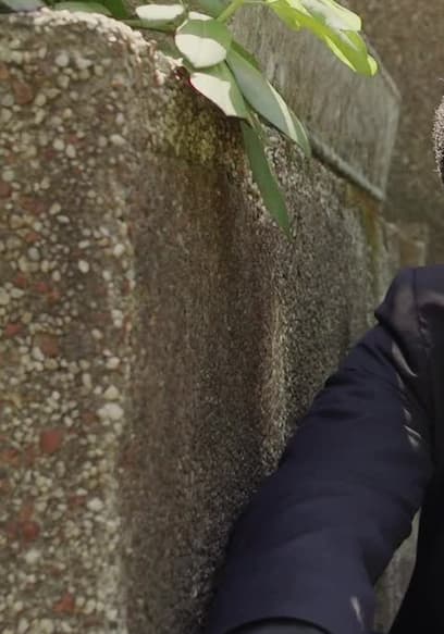 Watch Placebo Heart S01:E06 - The Snake of Life - Free TV Shows | Tubi