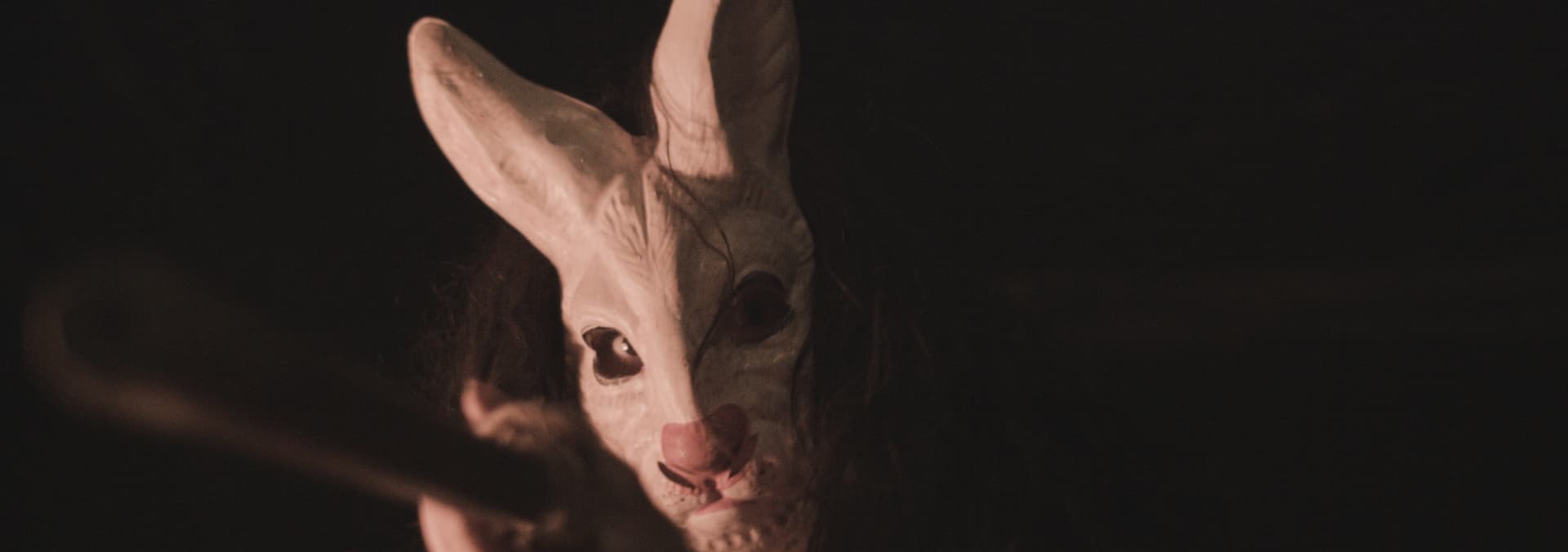 Watch Plank Face (2016) - Free Movies | Tubi