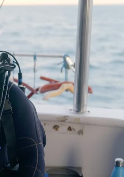 Watch Ross Kemp: Deep Sea Treasure Hunter S01:E03 - - Free TV Shows | Tubi