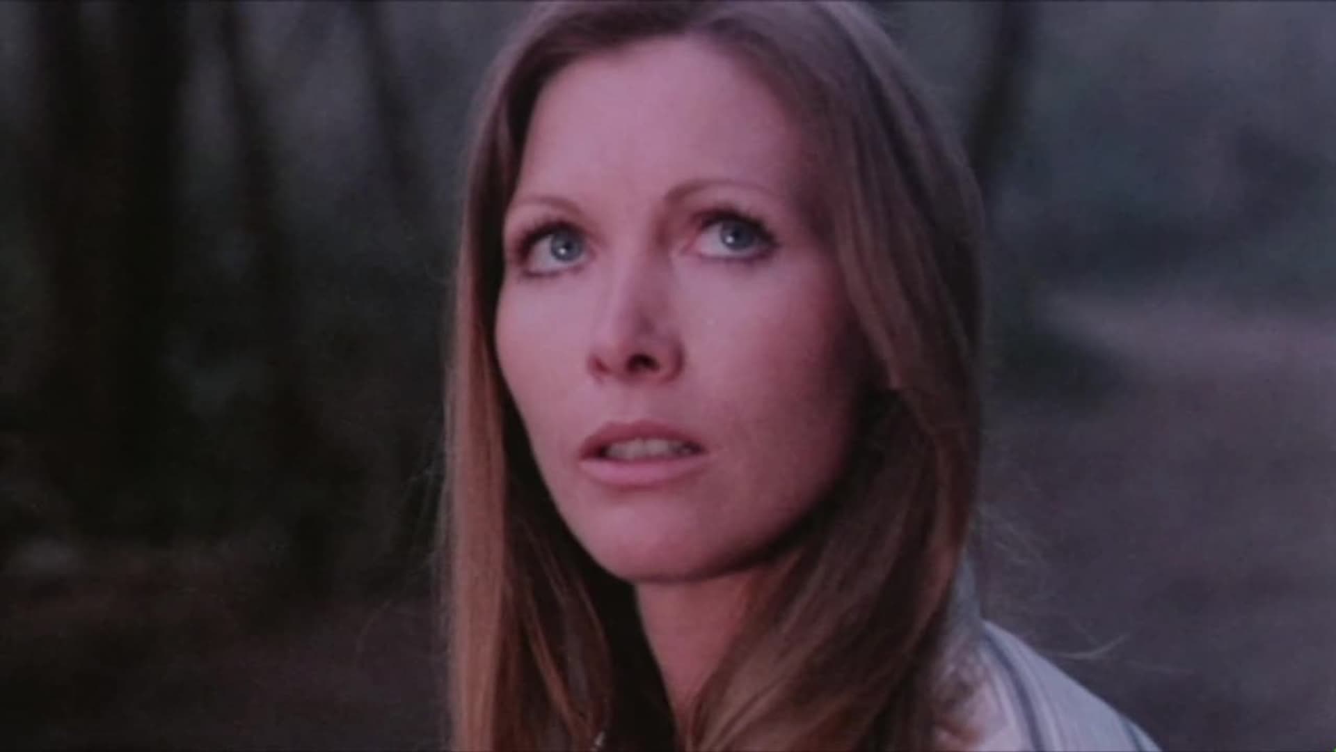 Watch Moonshine County Express (1977) - Free Movies | Tubi