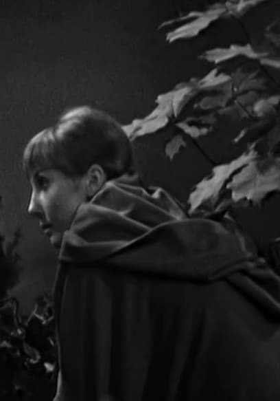 Watch Classic Doctor Who: The First Doctor S02:E33 - The Time Meddler: The Meddling Monk - Free ...