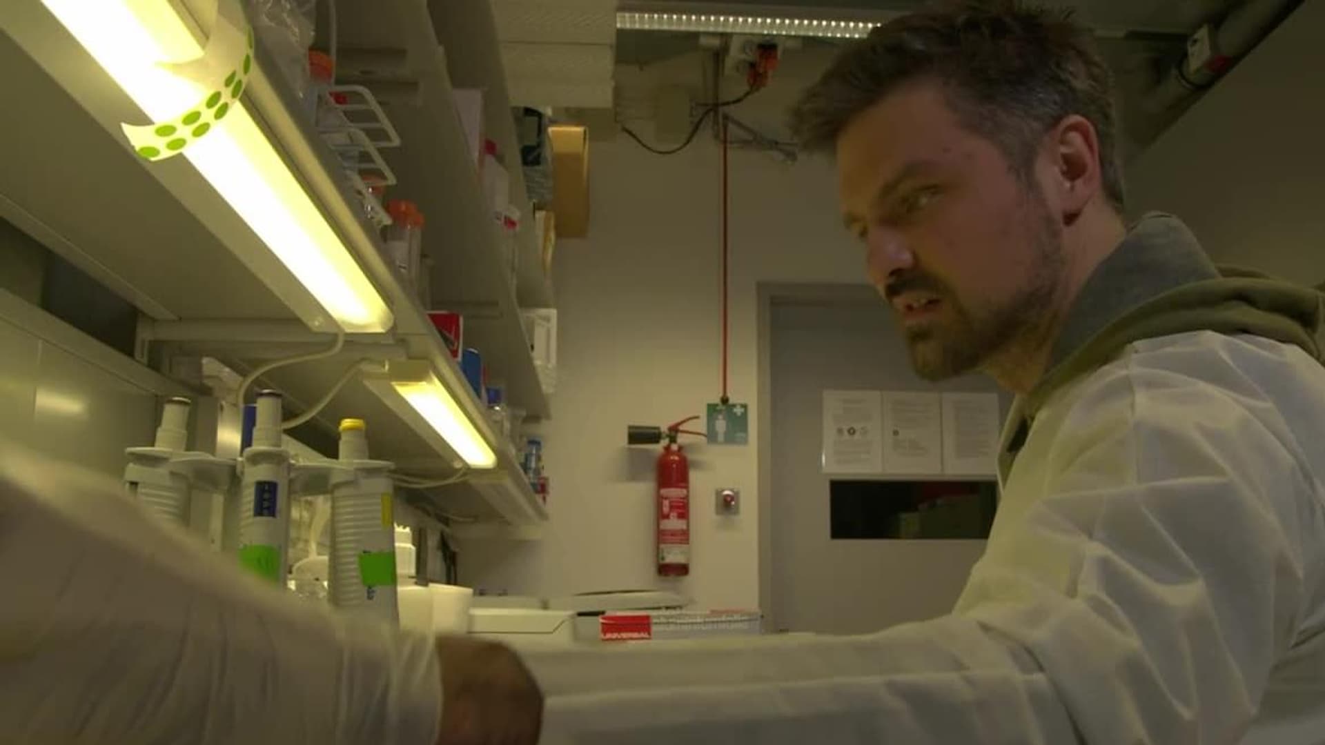 Watch Leaps in Evolution - Free TV Shows | Tubi