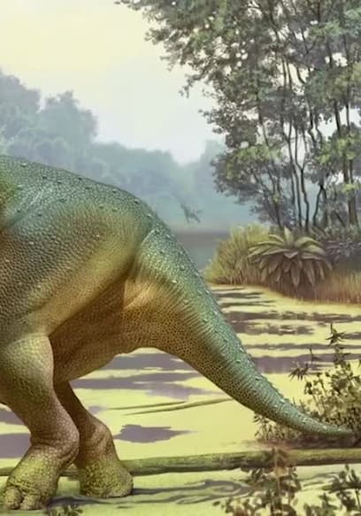 Watch Dinosaur Discovery S01:E06 - Chicxulub: The Asteroid That Killed ...