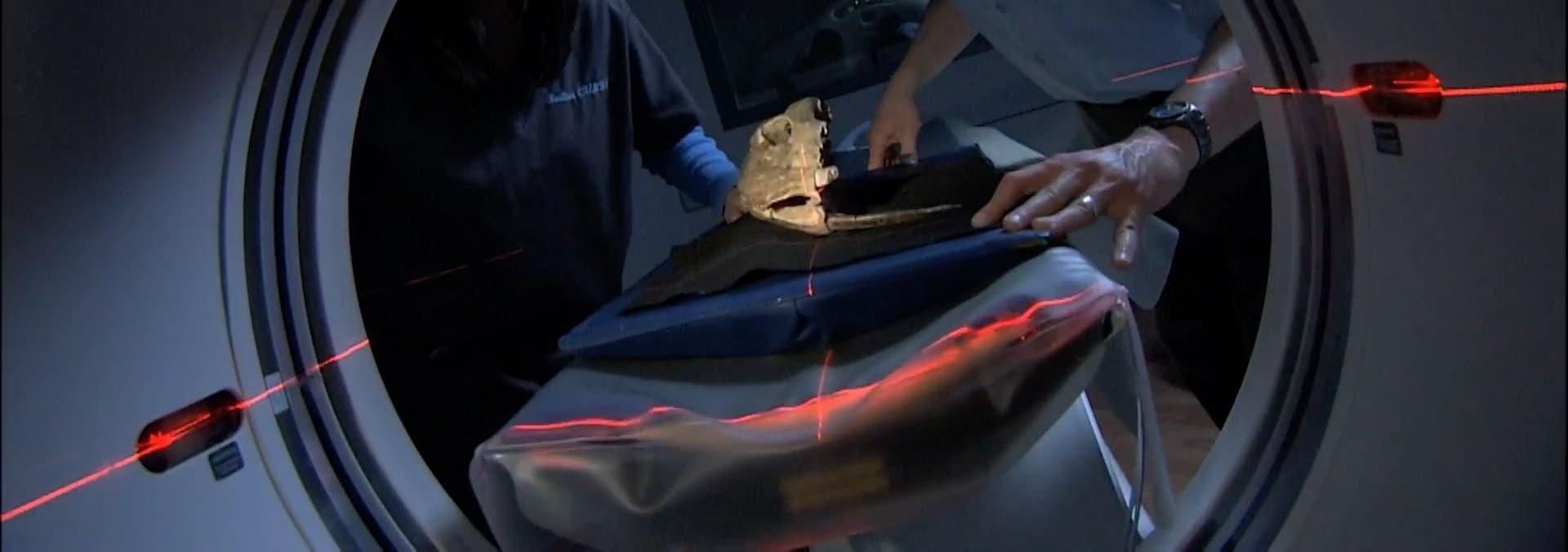 Watch Leaps in Evolution S01:E01 - The Origin of Eyes - Free TV Shows | Tubi