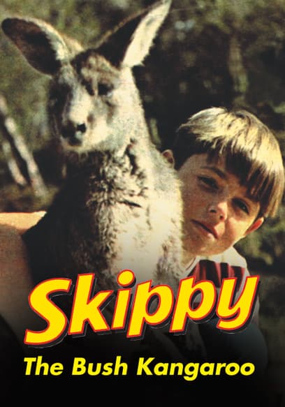 Watch Skippy - Free TV Shows | Tubi