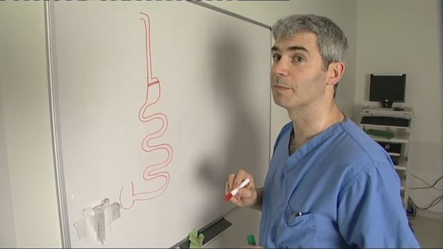 Watch Fat Doctor - Free TV Shows | Tubi