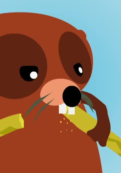 Watch Zoomix S01:E08 - Episode 8 - Free TV Shows | Tubi