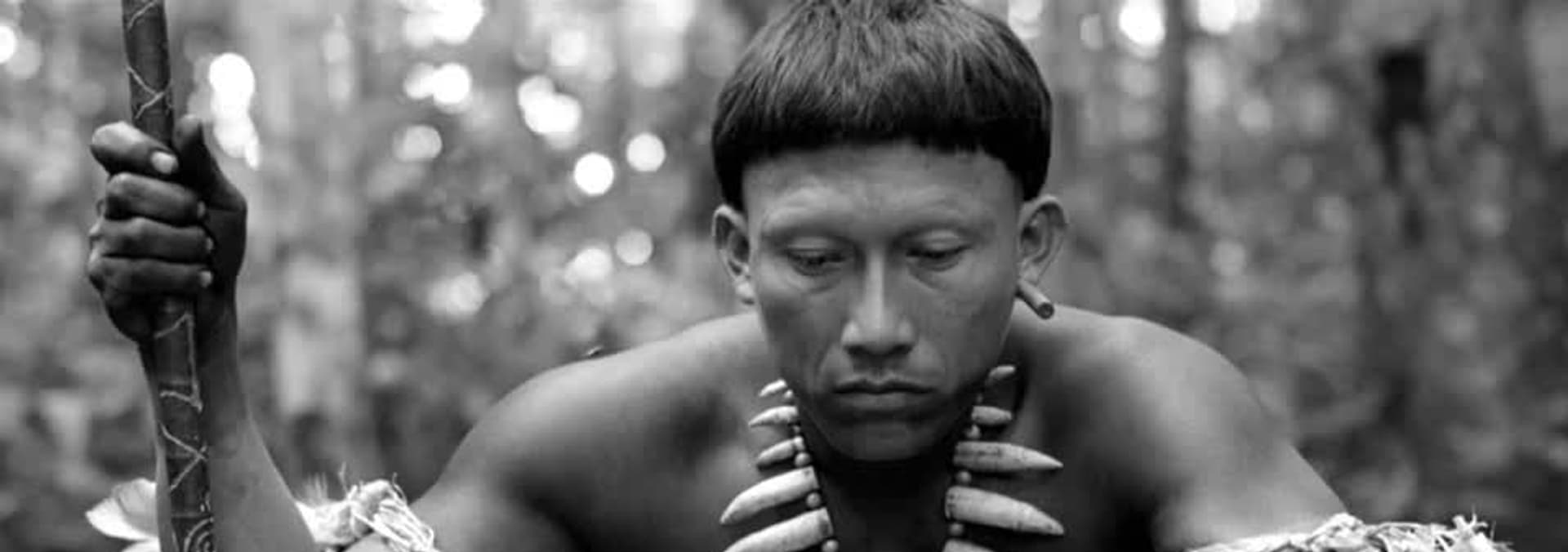 Watch Embrace of the Serpent Trailer (2016) - Free Movies | Tubi