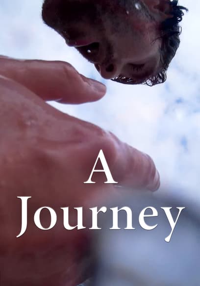 Watch A Journey (2017) - Free Movies | Tubi