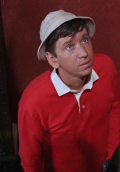 Watch Gilligan's Island S02:E29 - The Friendly Physician - Free TV ...